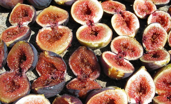 Italiens grønne figner - Italiensk Vin & Mad